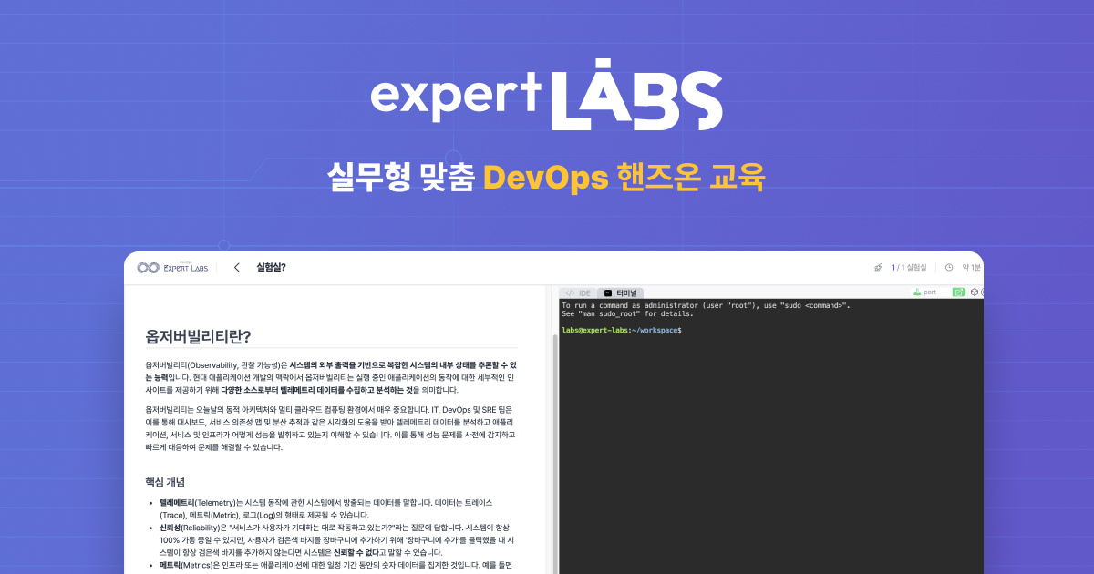 Expert Labs